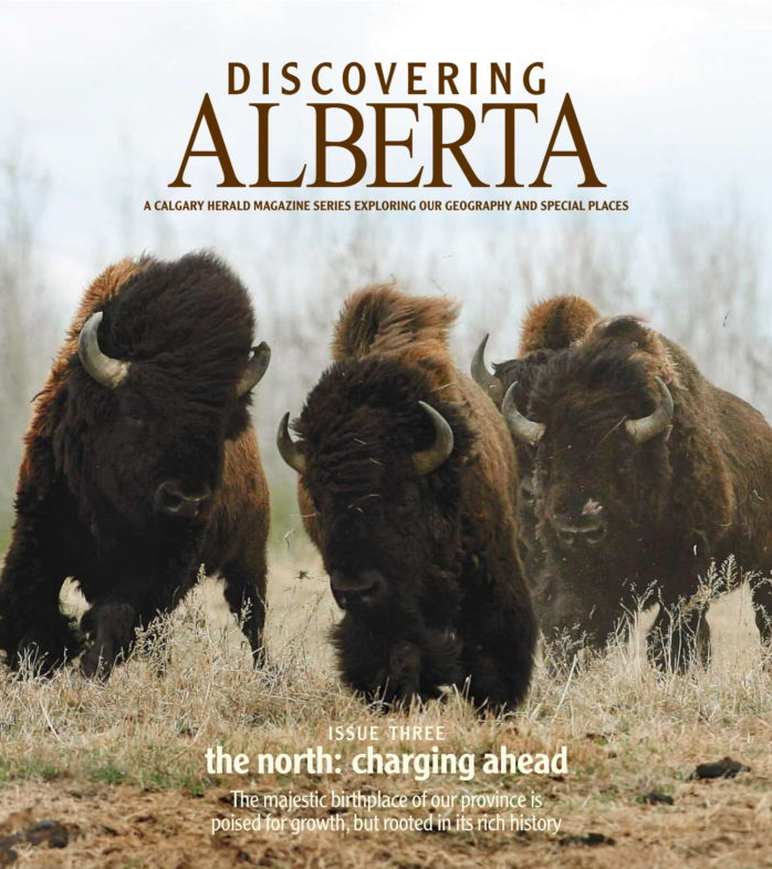 Discovering Alberta - Paula Arab